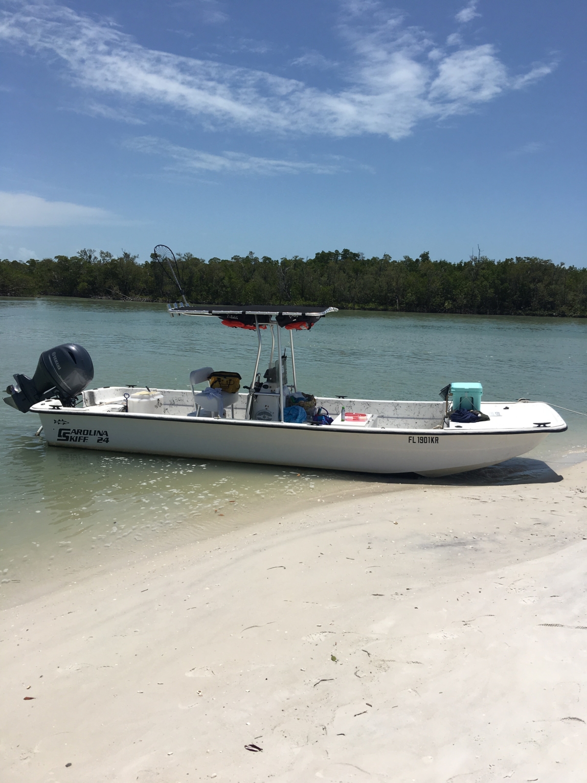 Shell Island and Second Chance Shell Bar » Sand Dollar Shelling