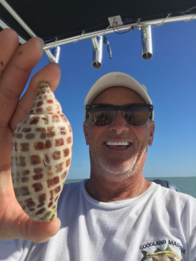 Everything to Know About the Junonia Shell » Sand Dollar Shelling