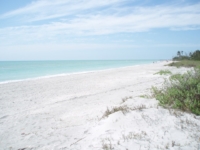 Information About Sanibel Island Shell Collecting and Its History