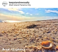 10 Best Shelling Beaches in Florida » Sand Dollar Shelling