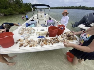 Types of Shells In Florida: Seashell Identification Guide » (239) 301-8913